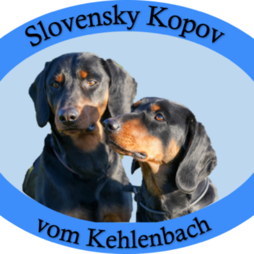 Slovensky Kopov vom Kehlenbach
