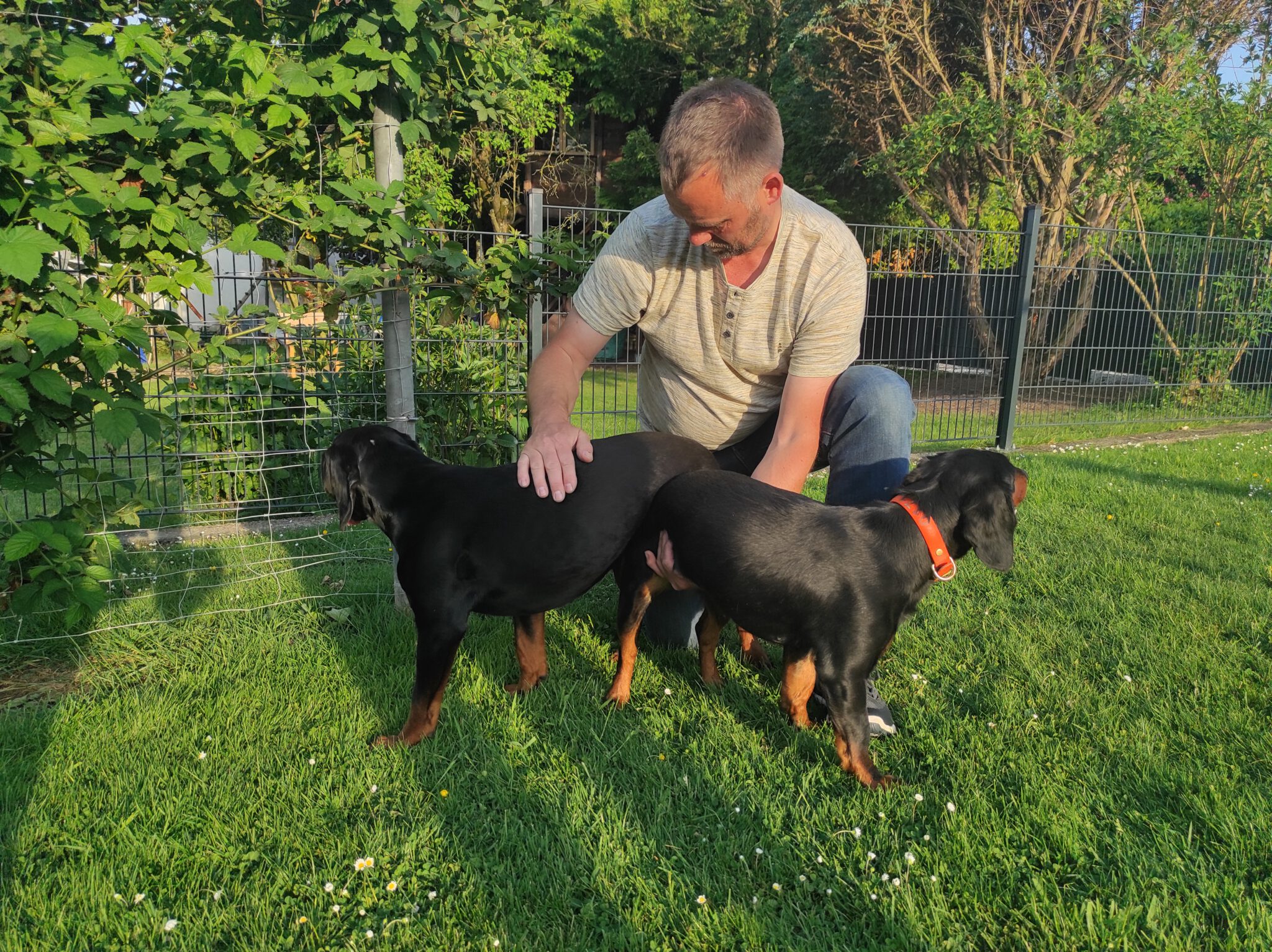 Der Deckakt - Slovensky Kopov vom Kehlenbach